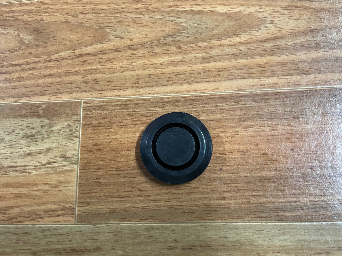 Floor Pan Drain Access Hole Plug – Early Falcon Spares